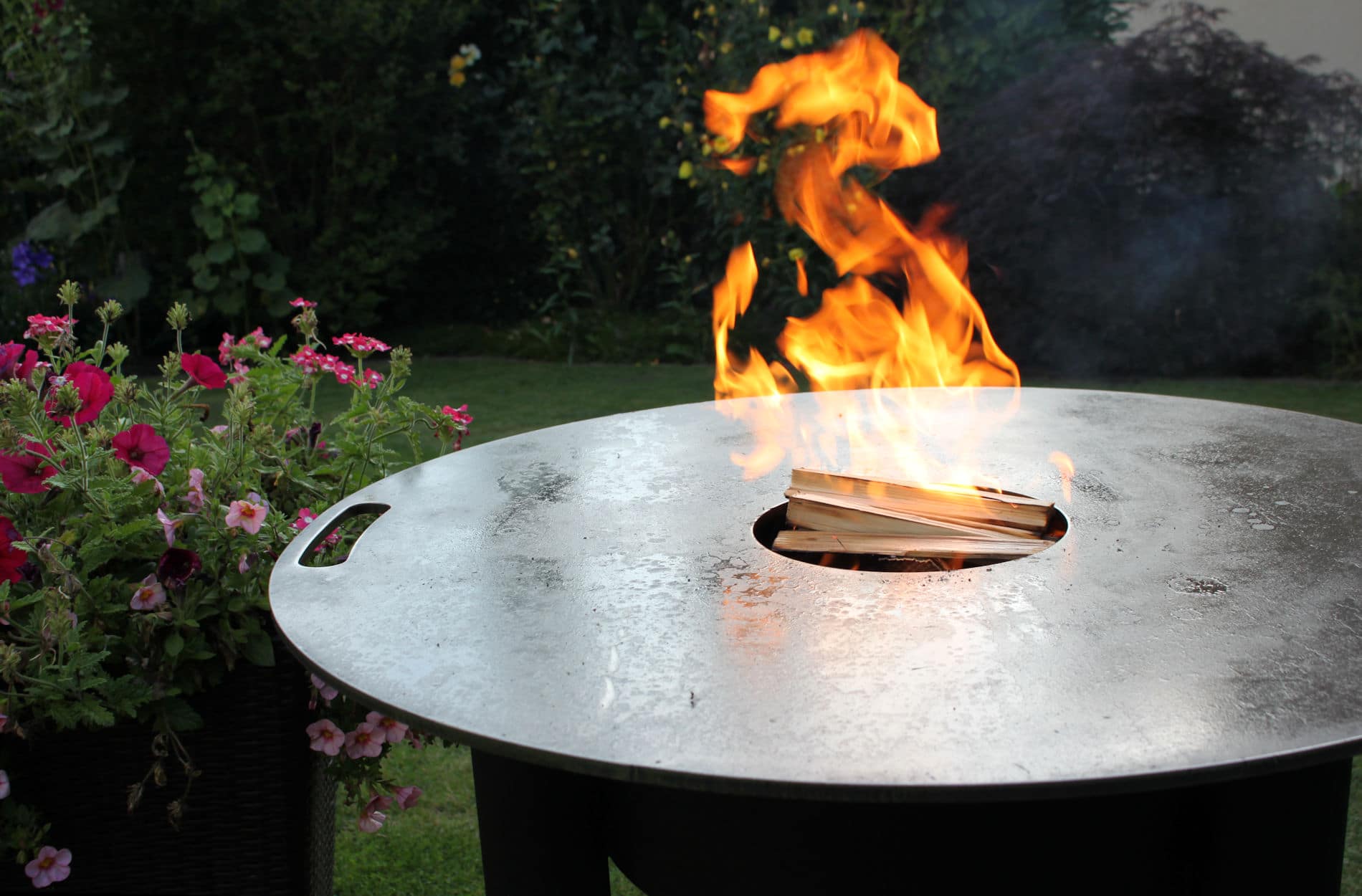 Der unverzichtbare Feuerplatten-Ratgeber für Einsteiger | Futterattacke.de